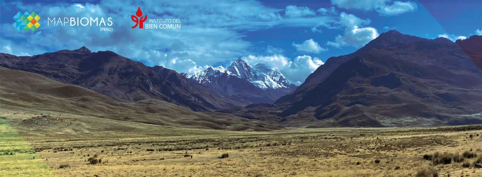 MapBiomas Perú