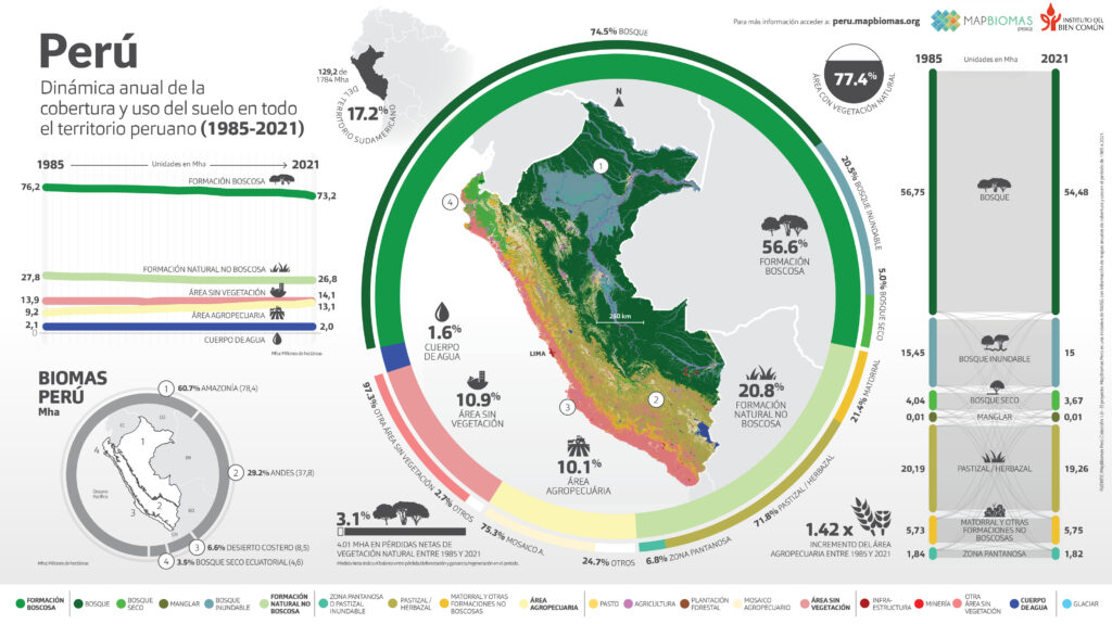 MapBiomas Perú