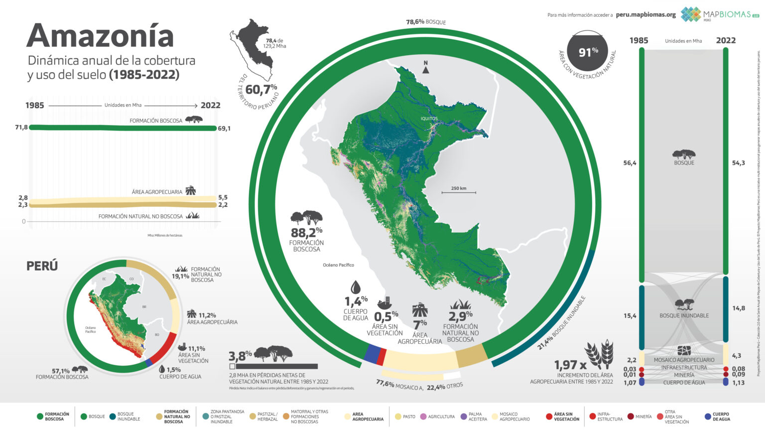MapBiomas Perú