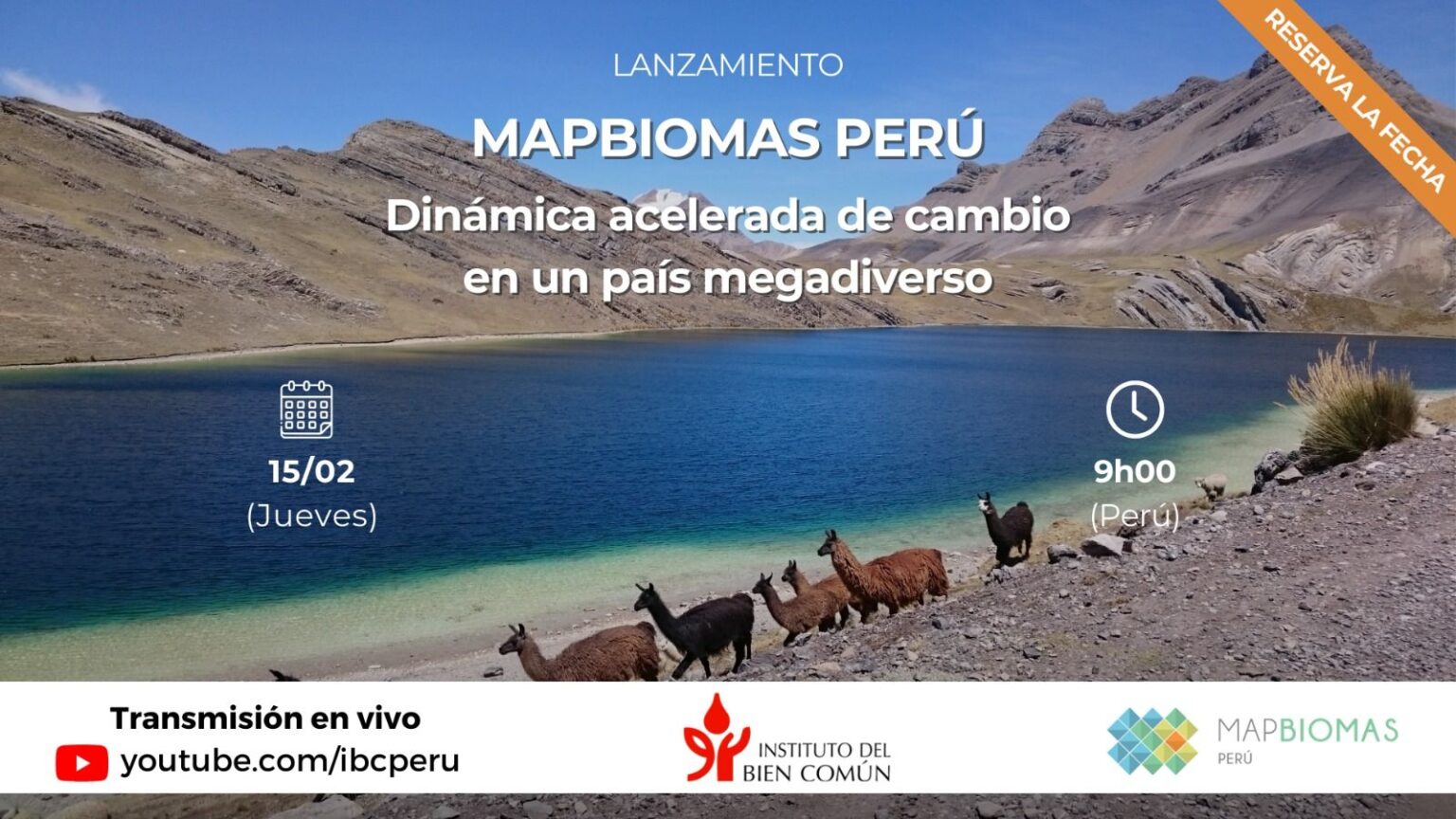 MapBiomas Perú
